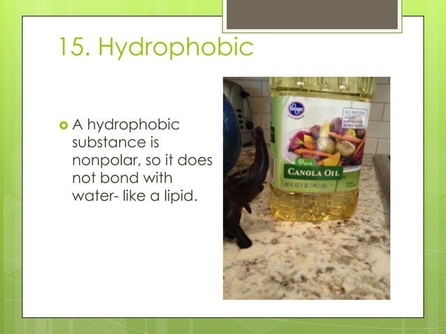 Ap Biology Scavenger Hunt power point | PPT