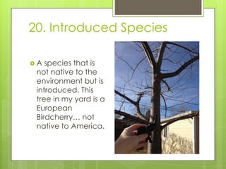 Ap Biology Scavenger Hunt power point | PPTX