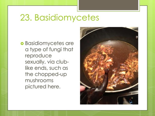 Ap Biology Scavenger Hunt power point | PPT