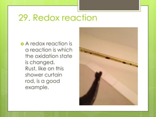 Ap Biology Scavenger Hunt power point | PPT