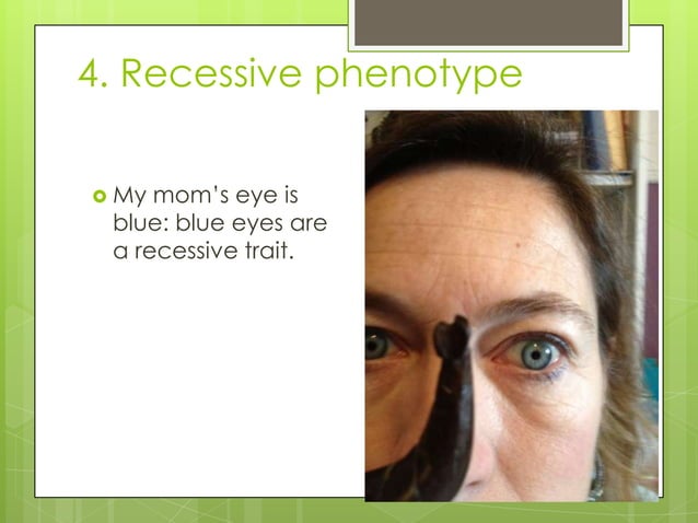 Ap Biology Scavenger Hunt power point | PPT