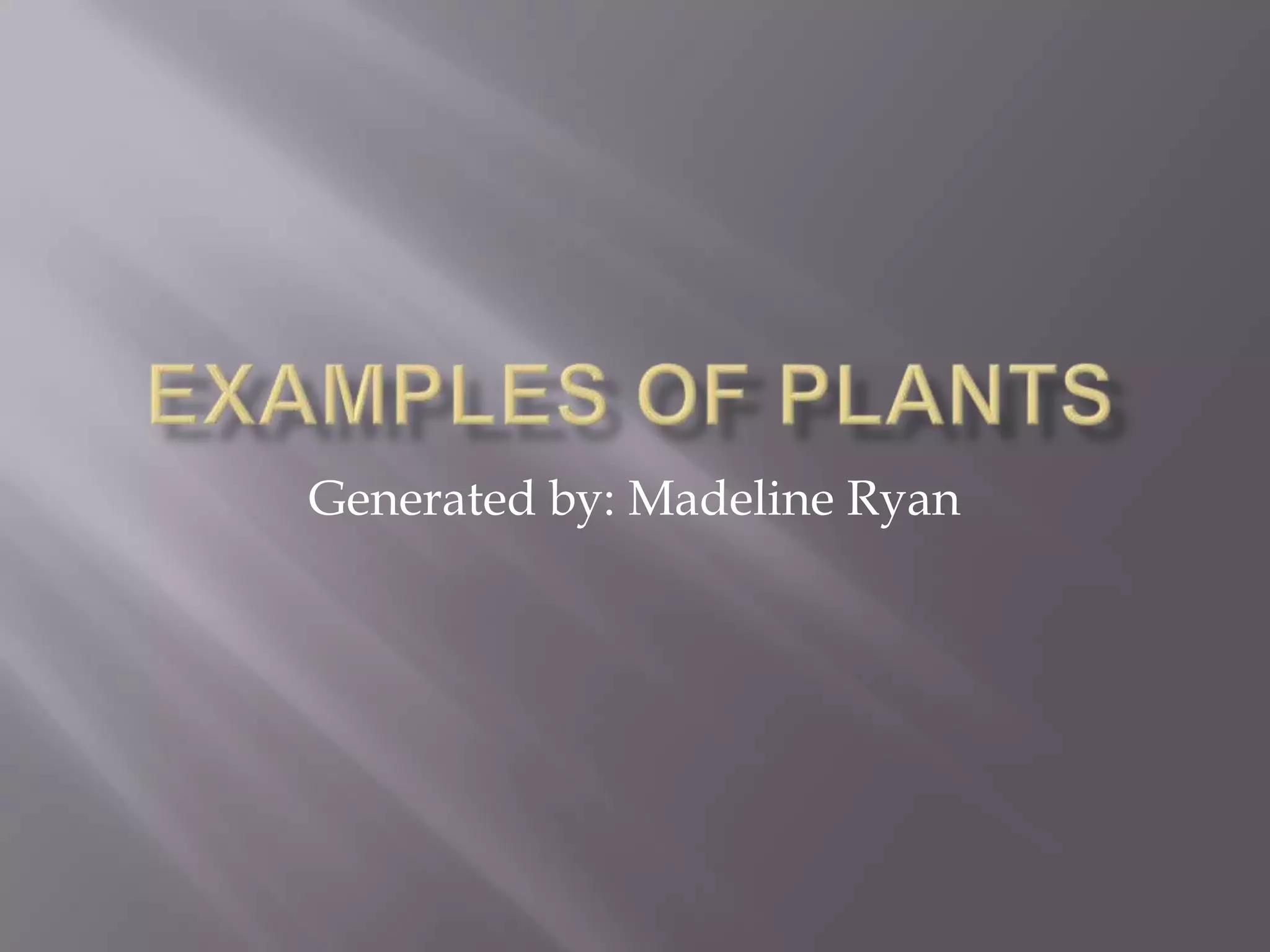 Examples of Plants | PPT