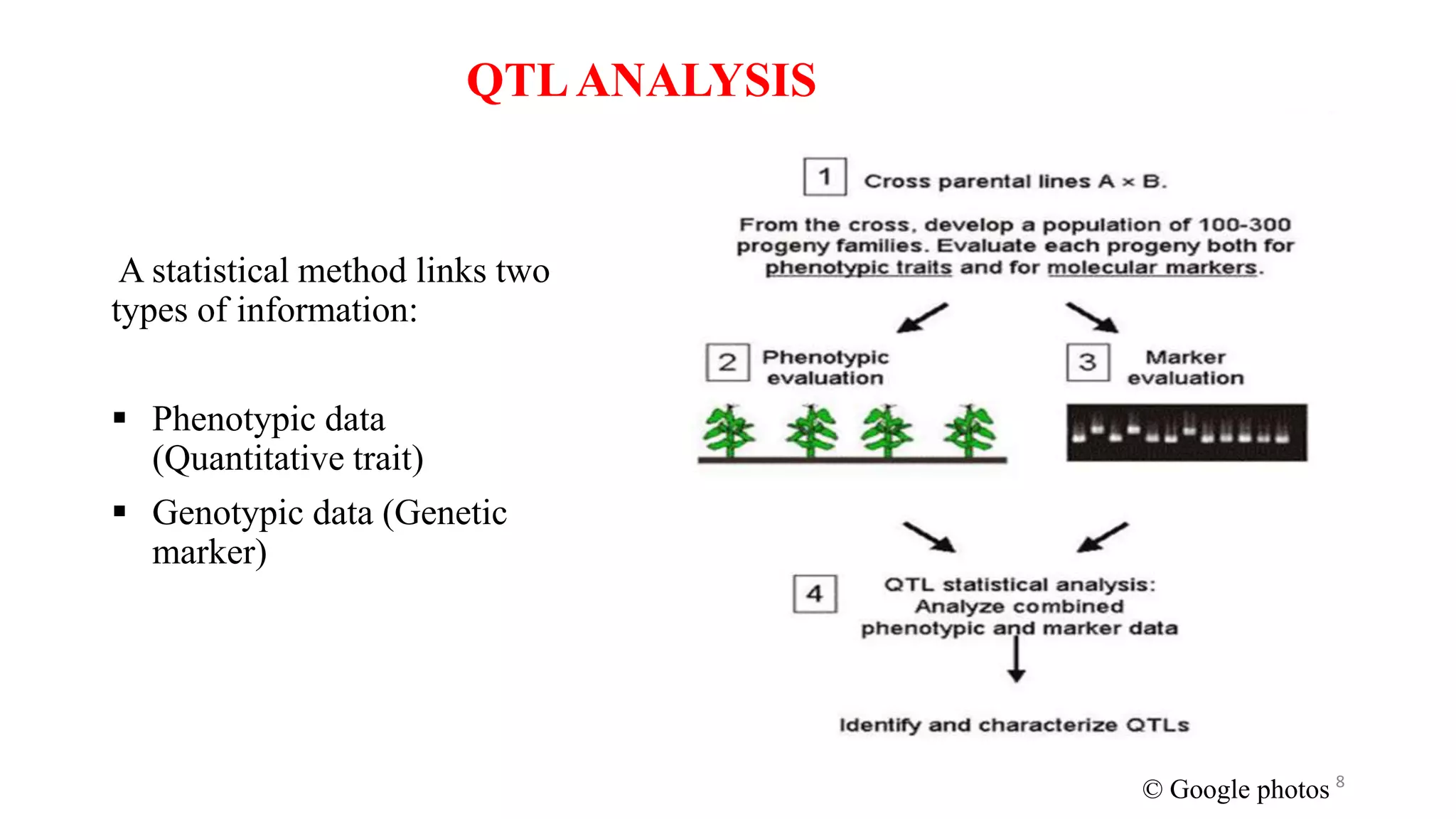 MAGIC POPULATION | PPTX