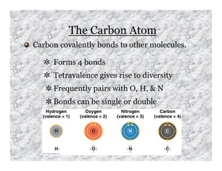 AP Carbon Lecture for Advanced Placement Biology | PDF