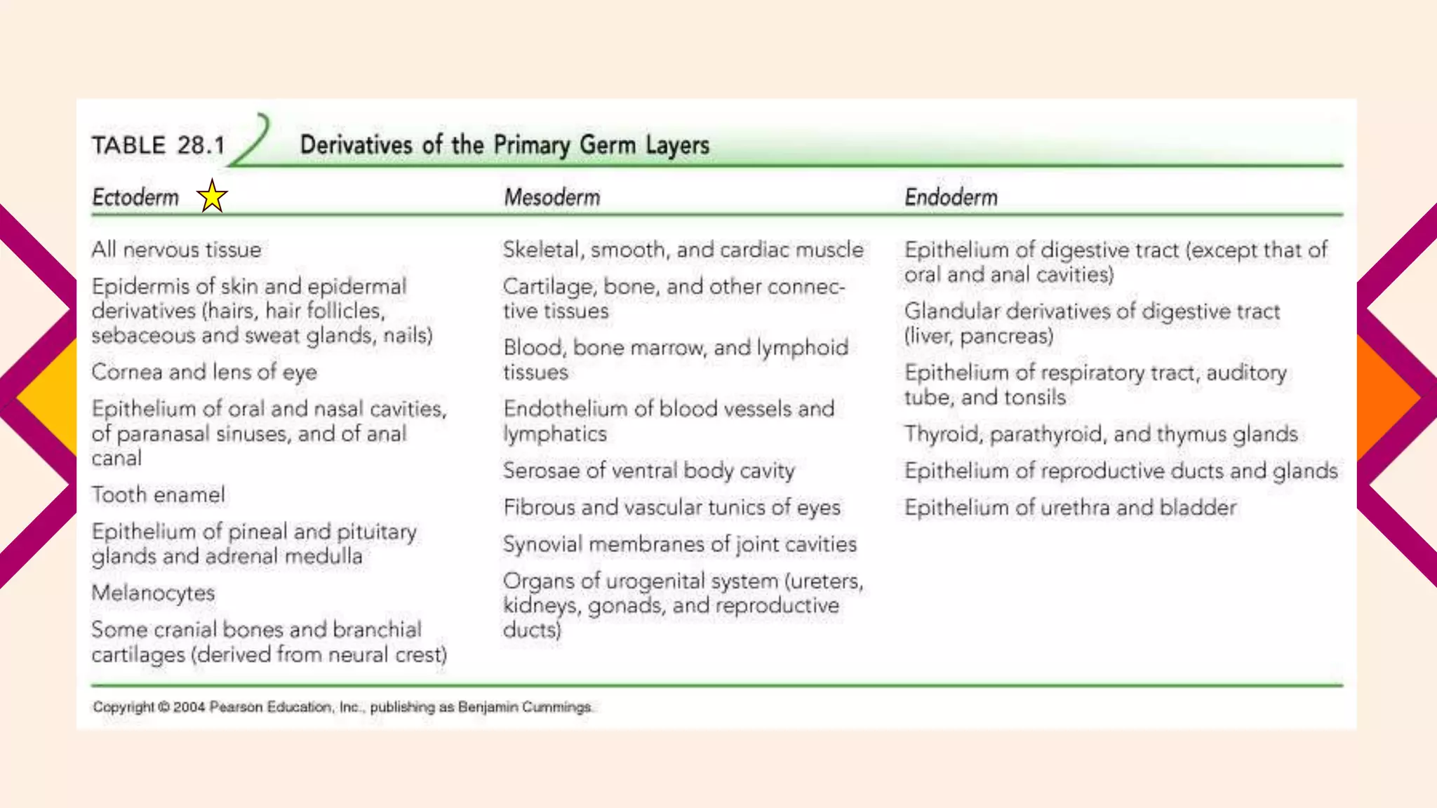 Anatomic Pathology Case Report | PPT