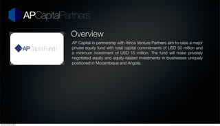 AP Capital Company Profile | PDF