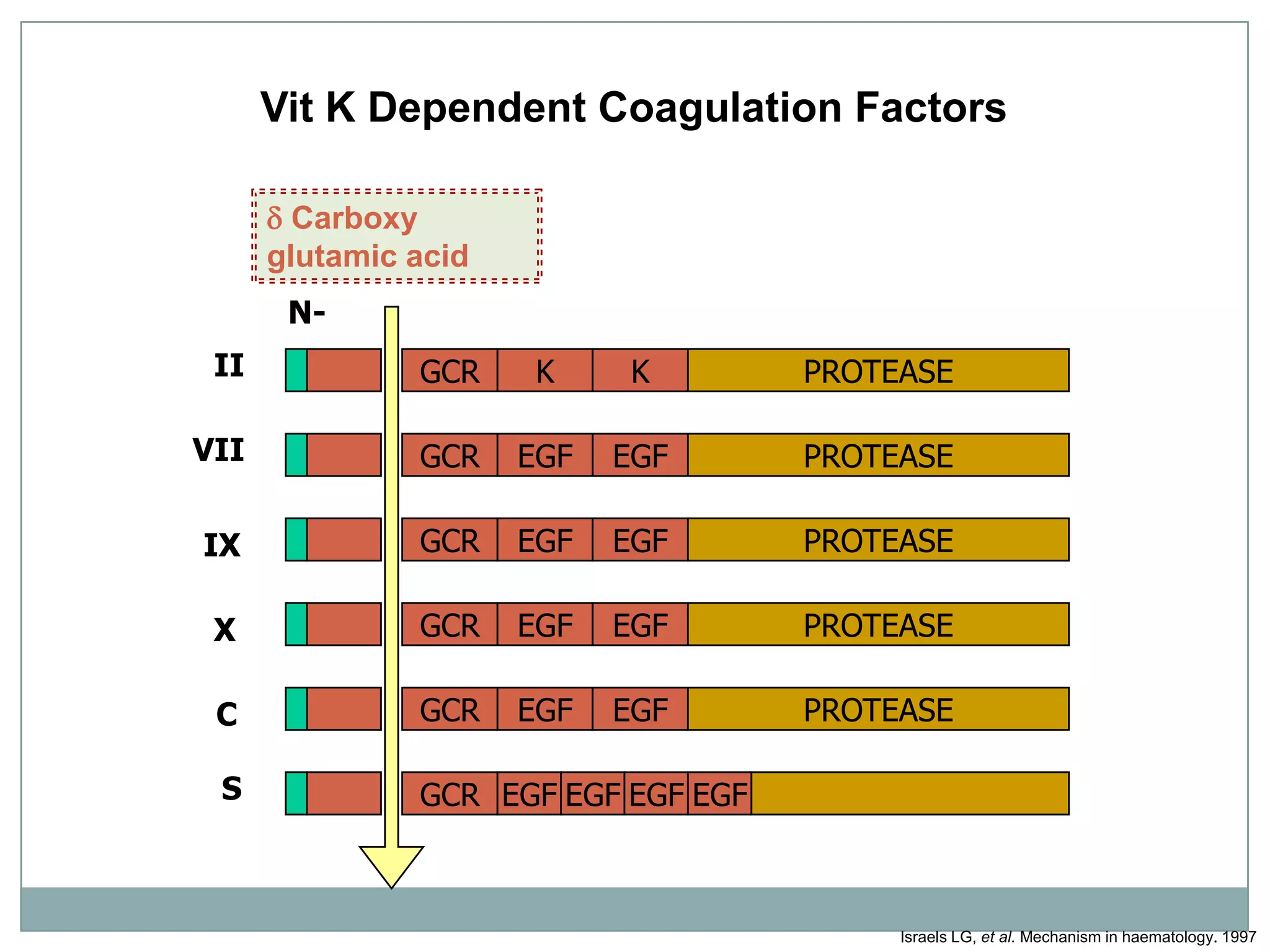 Acquired Prothrombin Complex Deficiency | PPTX