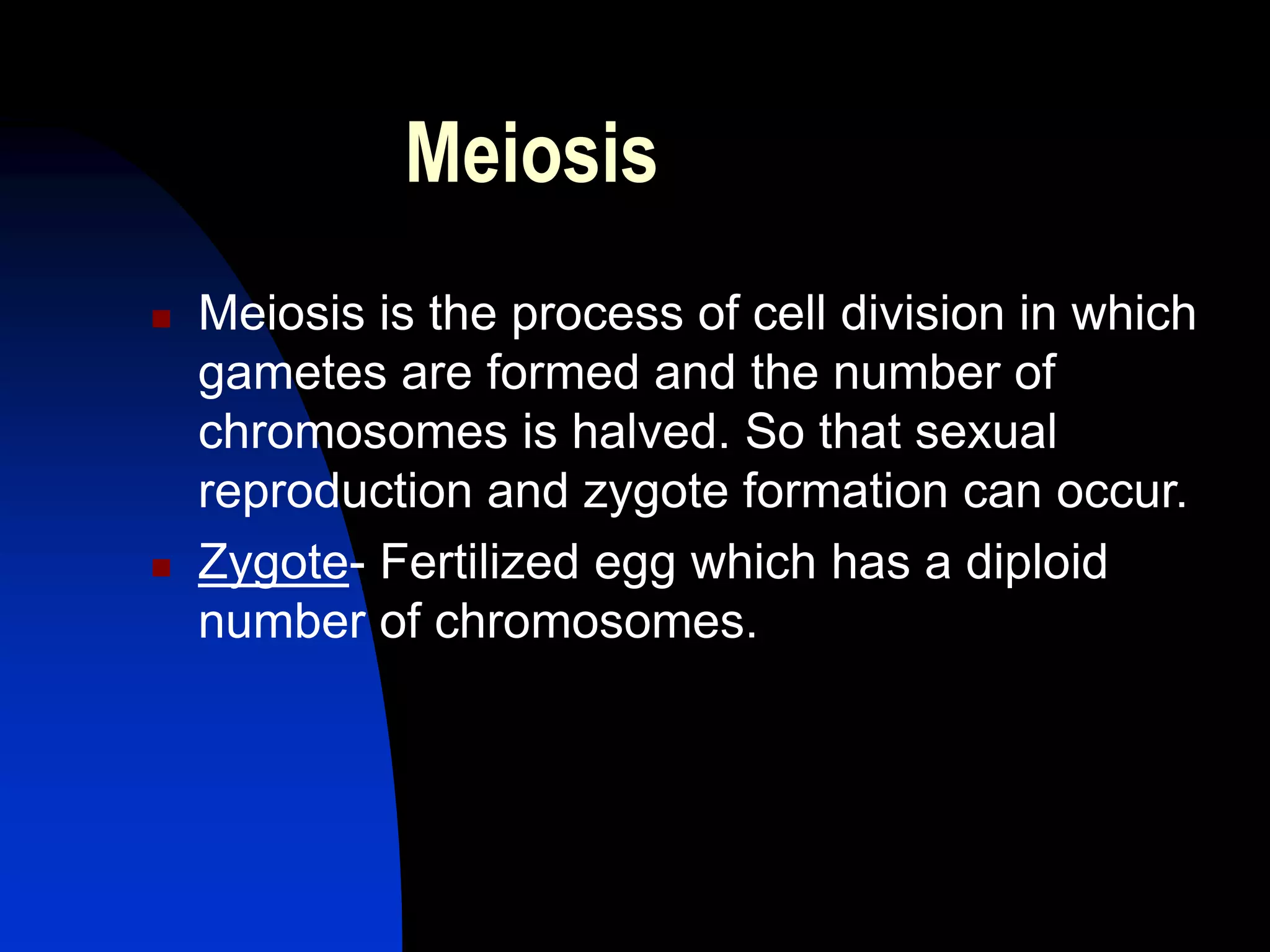 AP Cell Cycle-Mitosis and Meiosis.ppt