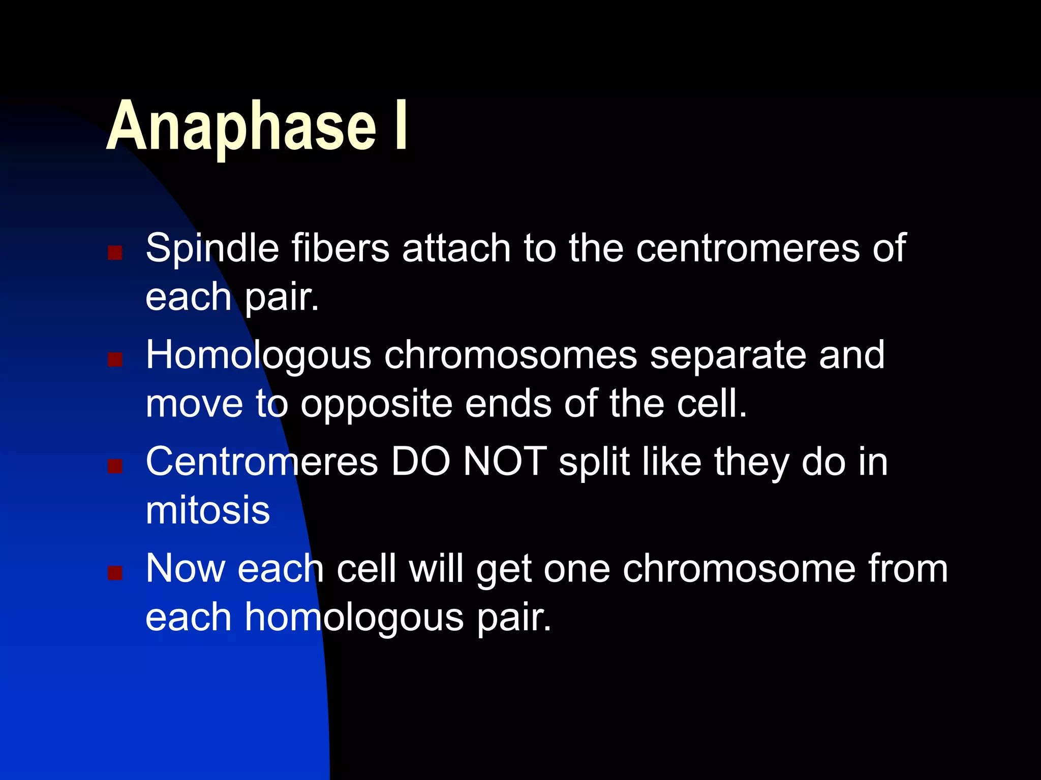 AP Cell Cycle-Mitosis and Meiosis.ppt