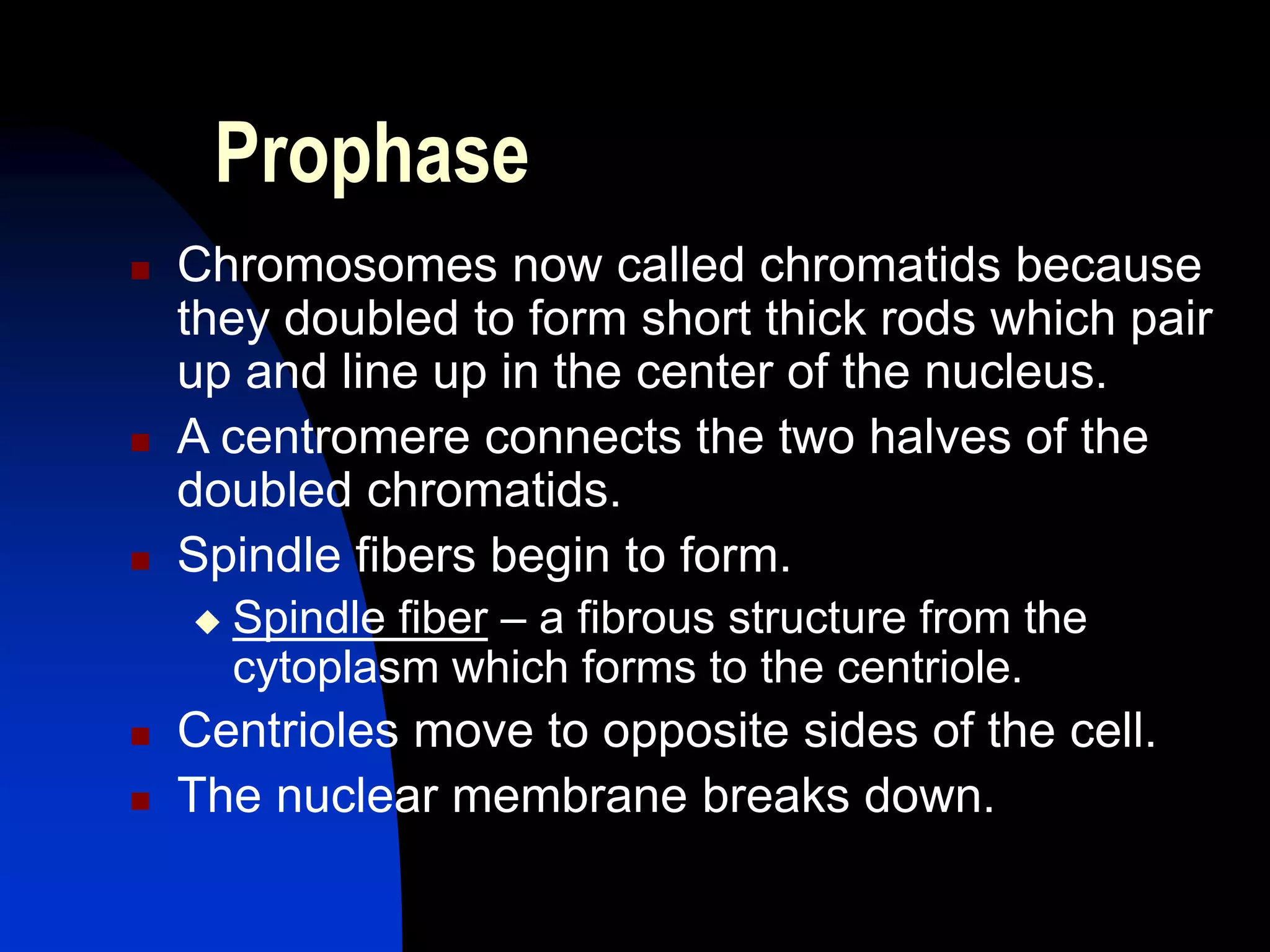 AP Cell Cycle-Mitosis and Meiosis.ppt