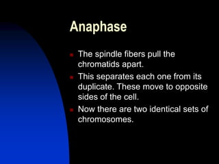 AP Cell Cycle-Mitosis and Meiosis.ppt
