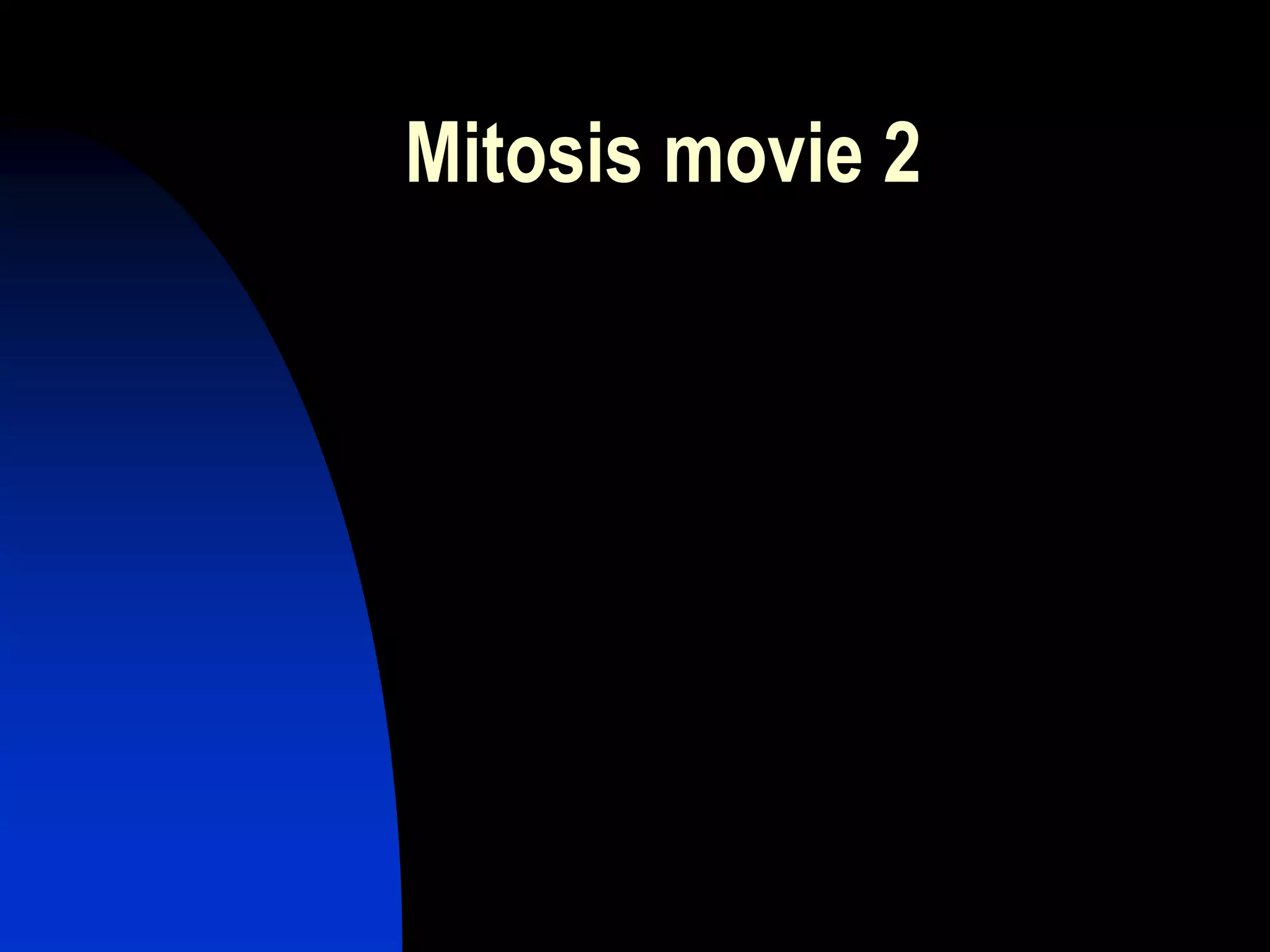 Mitosis and Meiosis.ppt