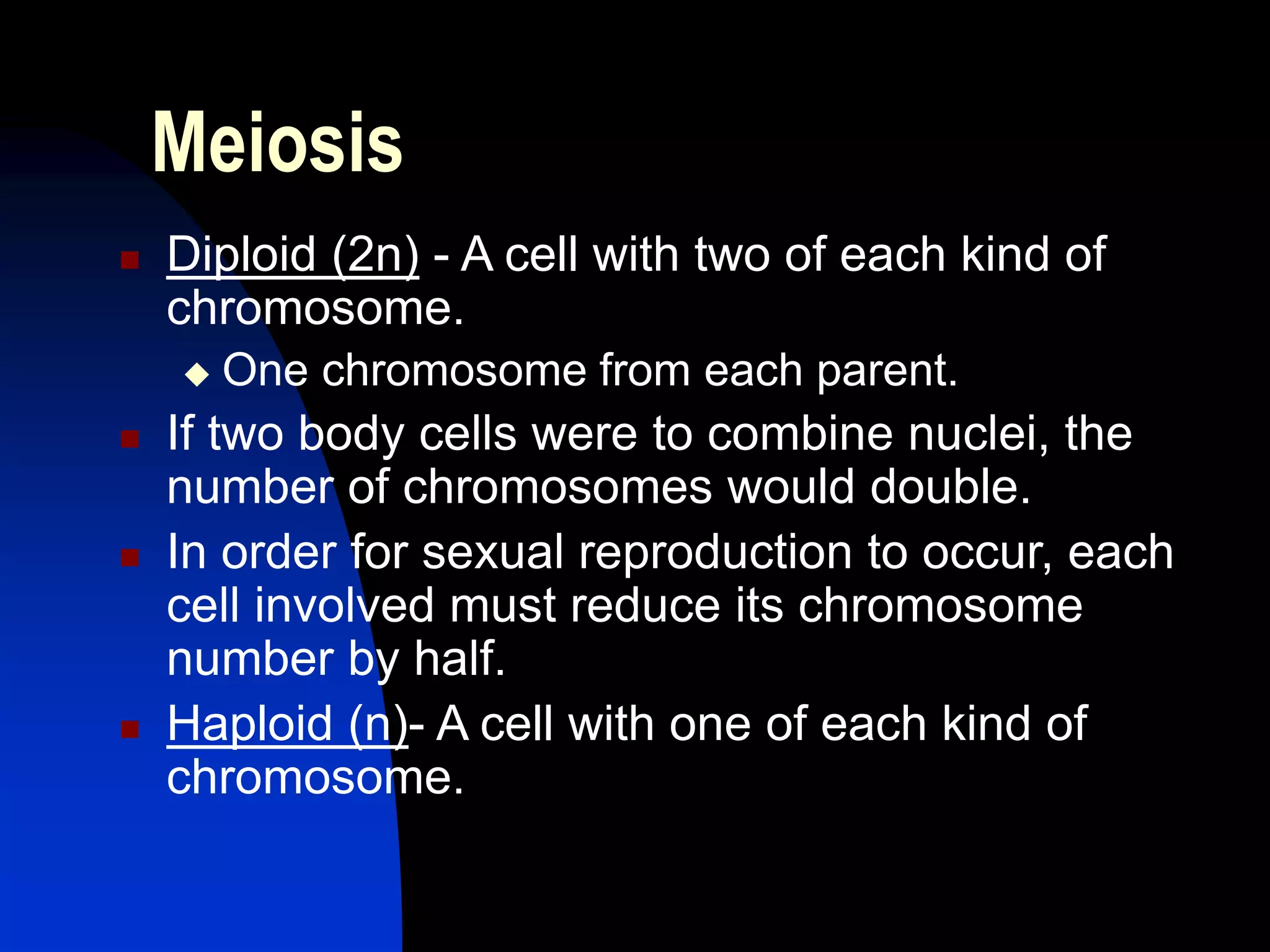 Mitosis and Meiosis.ppt