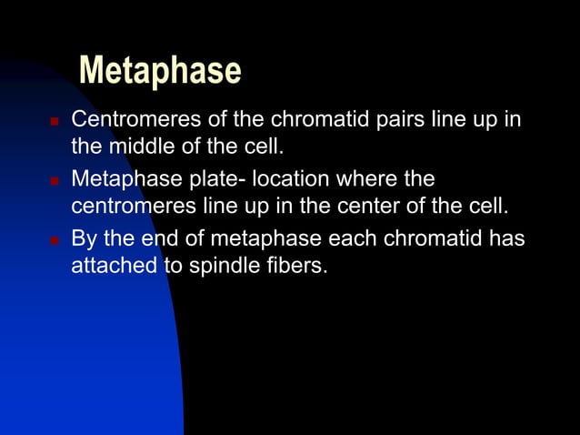 Mitosis and Meiosis.ppt