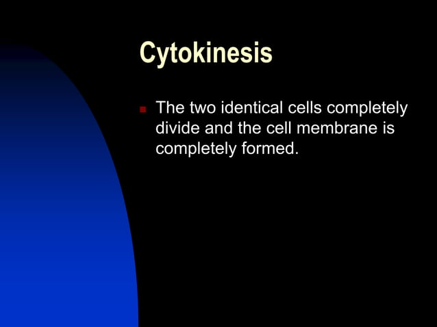 Mitosis and Meiosis.ppt