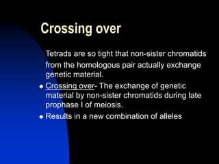 Mitosis and Meiosis.ppt