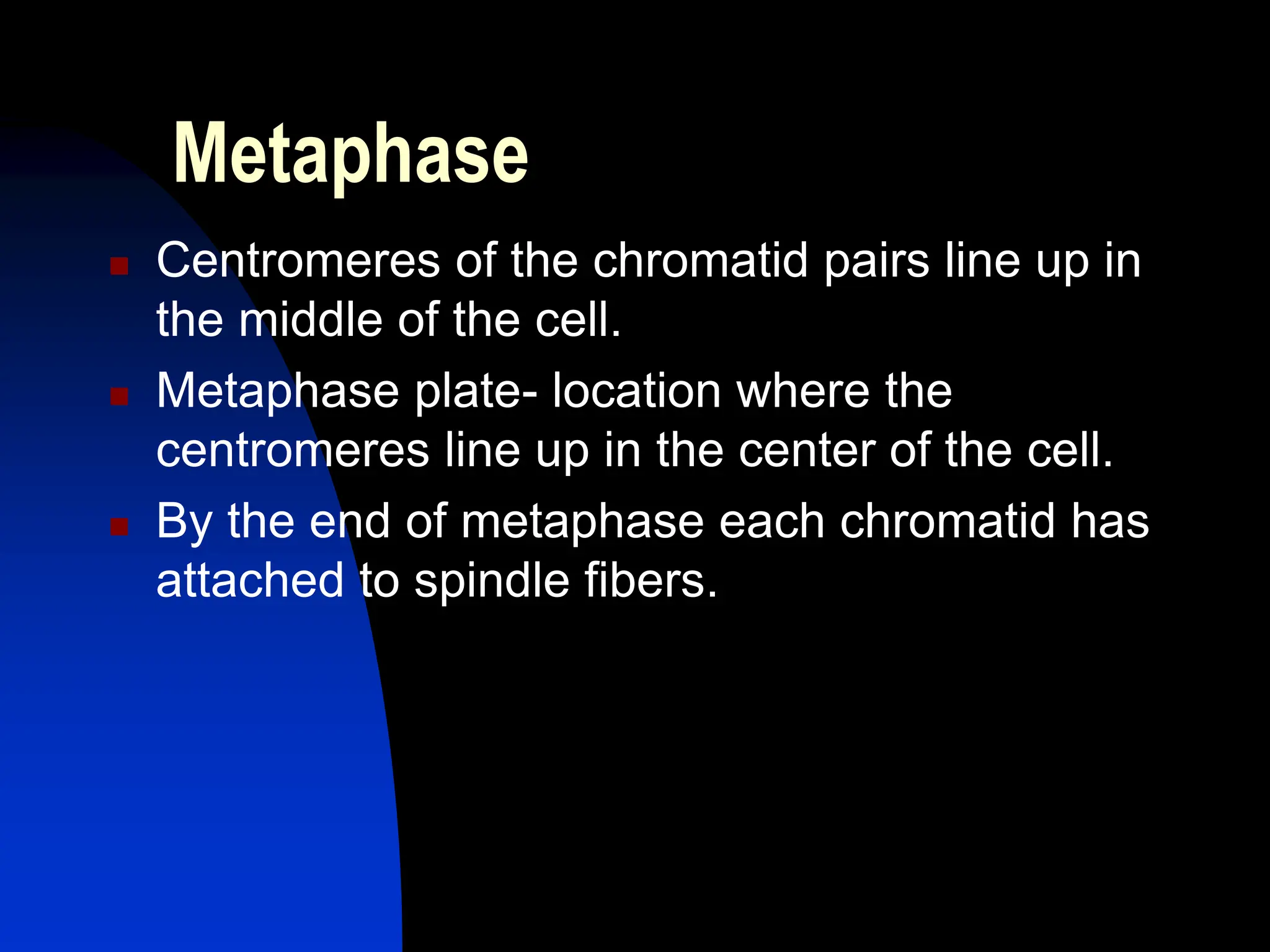 AP Cell Cycle-Mitosis and Meiosissss.ppt