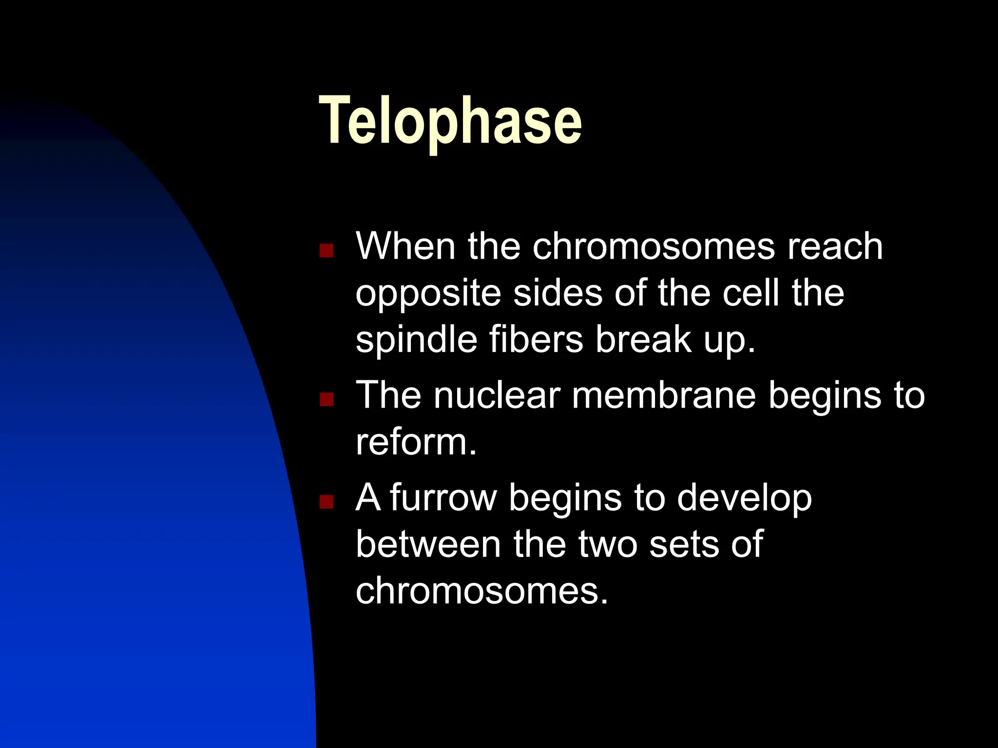 AP Cell Cycle-Mitosis and Meiosissss.ppt