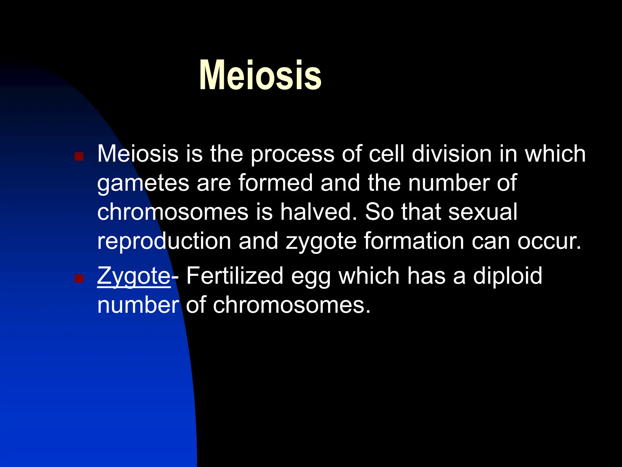 AP Cell Cycle-Mitosis and Meiosissss.ppt