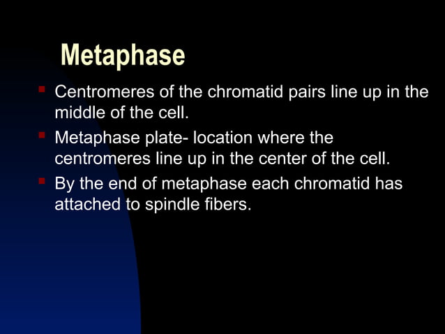 AP Cell Cycle-Mitosis and Meiosis.presentation | PPT