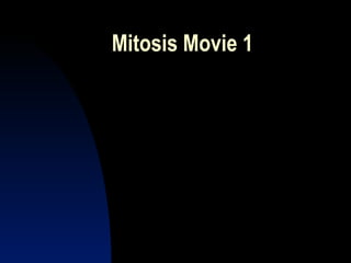 AP Cell Cycle-Mitosis and Meiosis.presentation | PPT