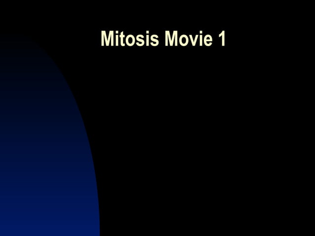AP Cell Cycle-Mitosis and Meiosis.presentation | PPT