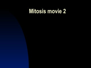 AP Cell Cycle-Mitosis and Meiosis.presentation | PPT