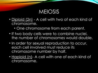 AP Cell Cycle-Mitosis and Meiosis presentation.ppt