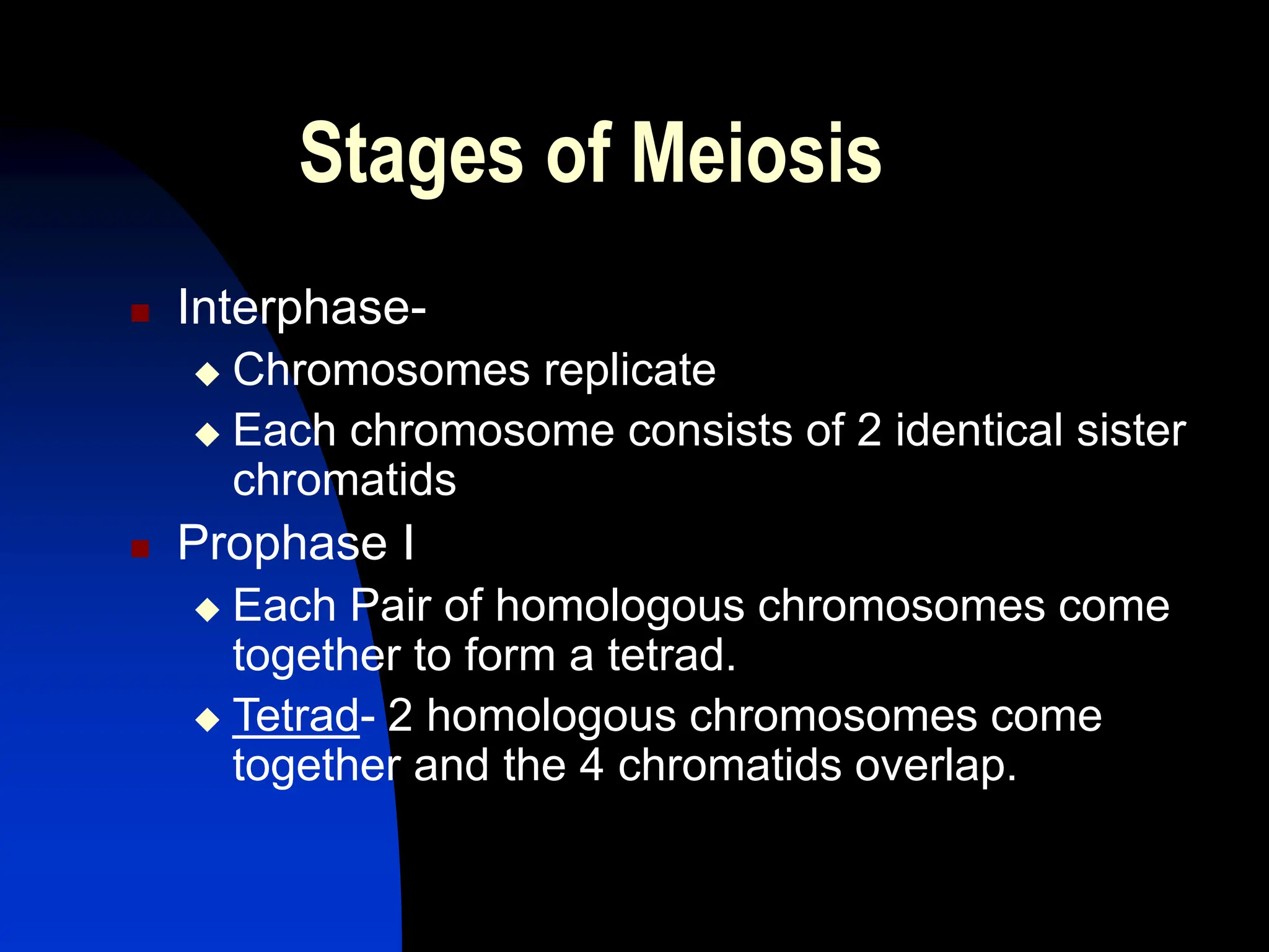 Cell Cycle-Mitosis and Meiosis (1).ppt