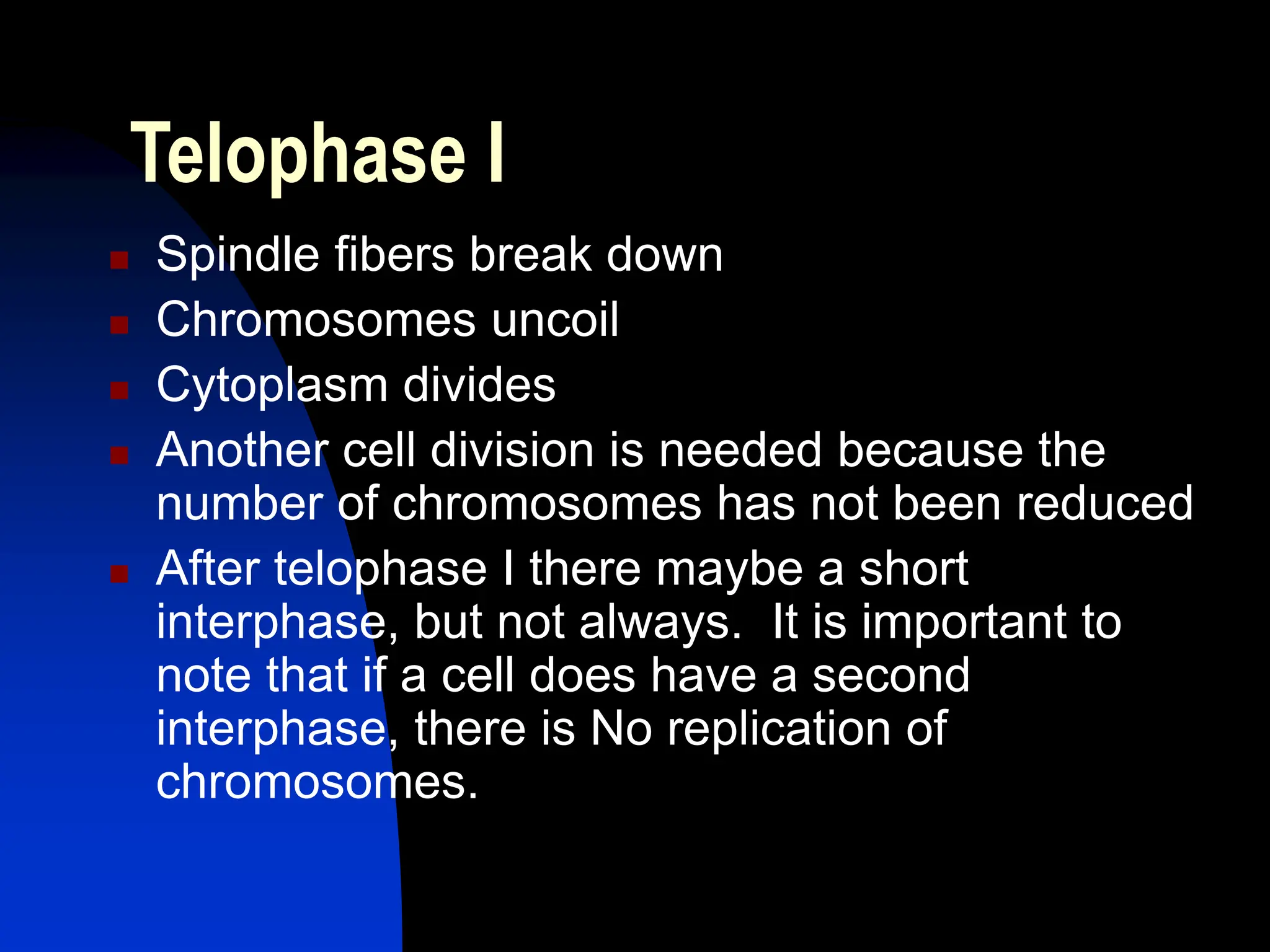 Cell Cycle-Mitosis and Meiosis (1).ppt