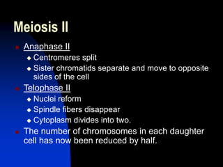 Cell Cycle-Mitosis and Meiosis (1).ppt