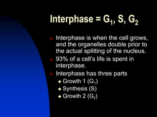Cell Cycle-Mitosis and Meiosis (1).ppt
