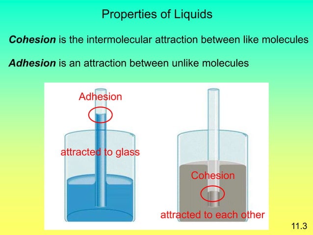 ap ch 11 intermolecular forces.ppt | Chemistry | Science
