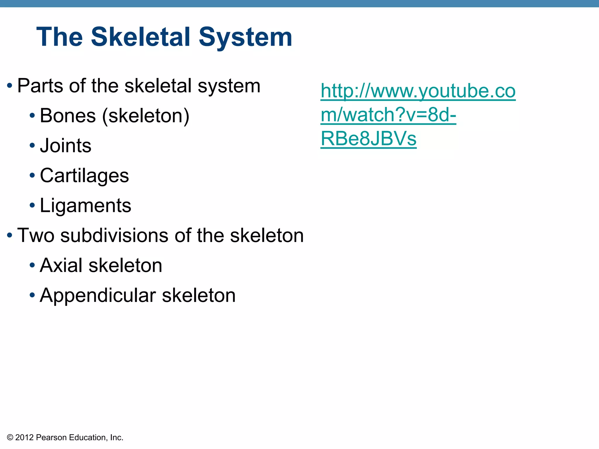 A & p ch 5 skeleton condensed | PPTX