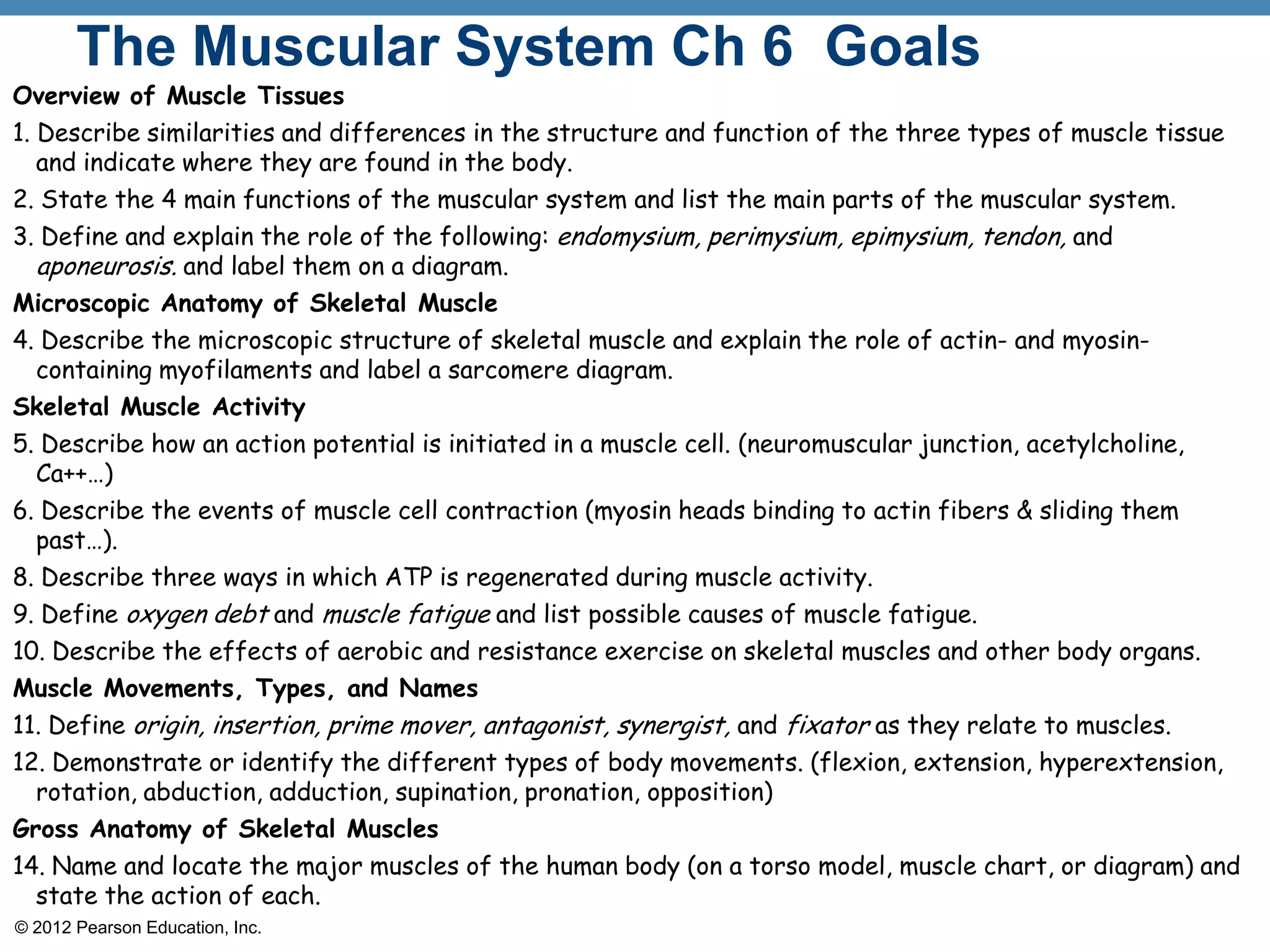 A & P Ch 6 Musclular System Student PPT | PPTX