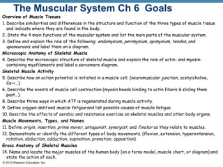 A & P Ch 6 Musclular System Student PPT | PPTX