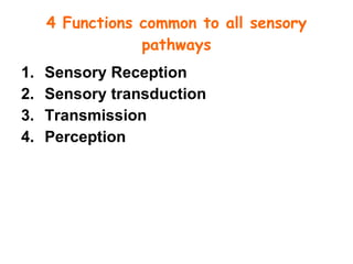 Ap chap 50 sensory perception and motor action | PPT