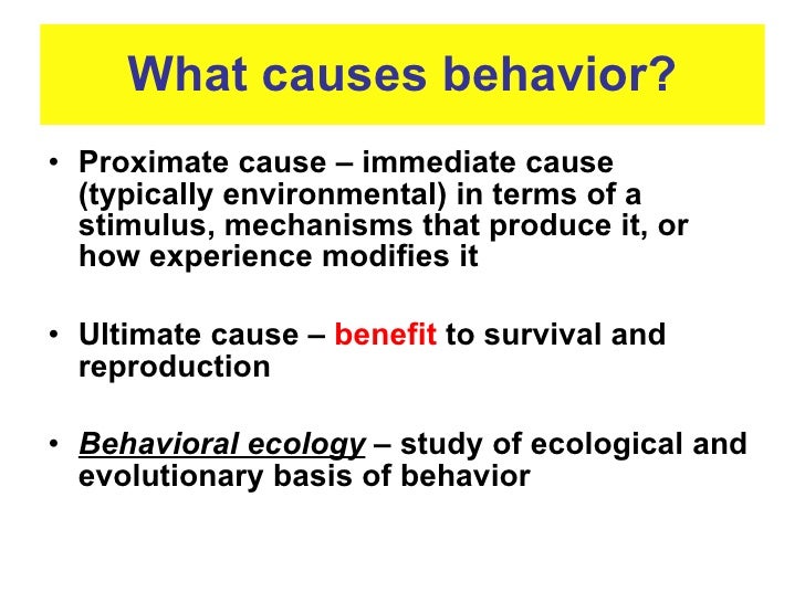 Ap chap 51 animal behavior