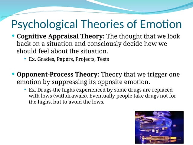 AP chapter 12 motivation and emotion.ppt