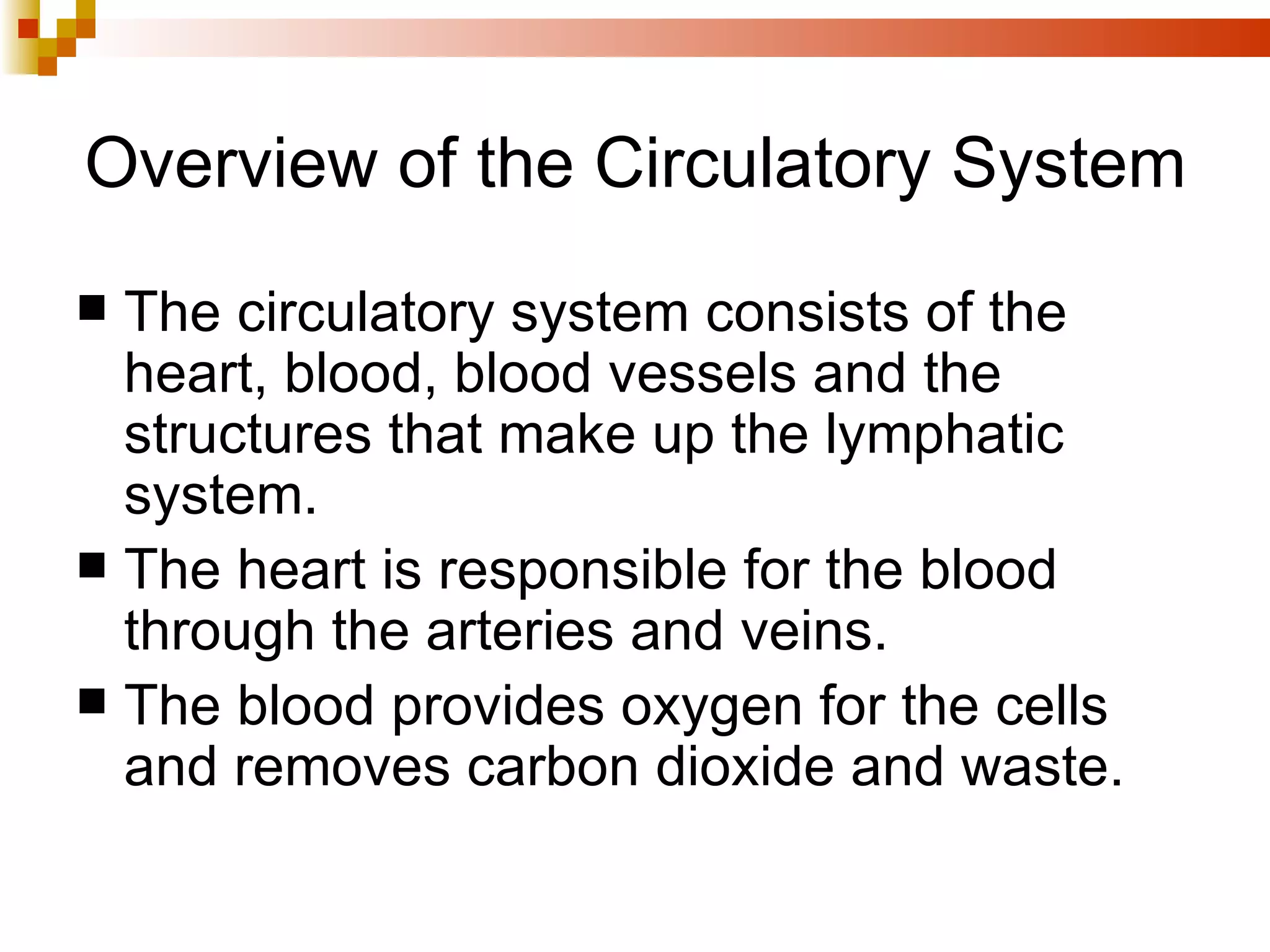 A&P Chapter 25 The Circulatory System | PPT | Heart and Cardiovascular ...