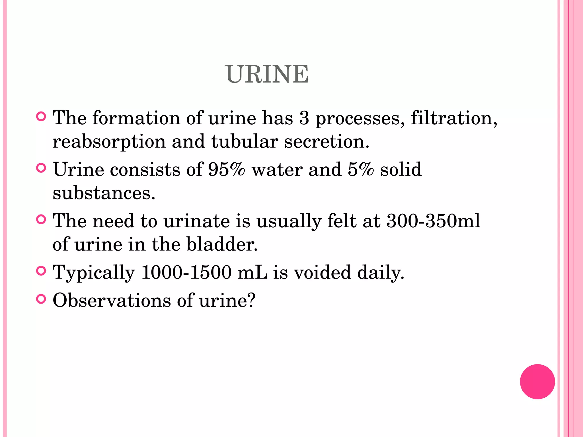 A&P Chapter 30 The Urinary System | PPT