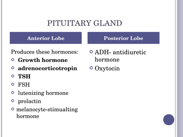 A&P Chapter 31 Endocrine System | PPT | Hormonal Disorders | Endocrine ...