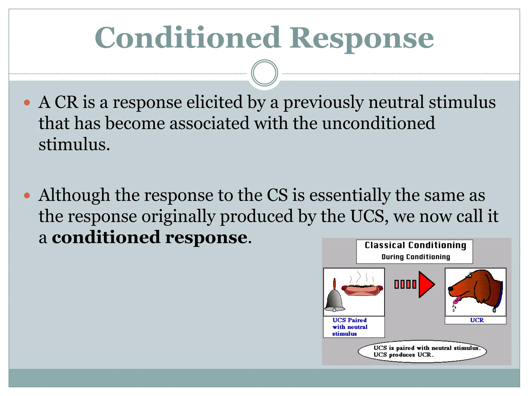 AP Chapter 6 Learning.ppt:Classical Conditioning, Operant Condition ...