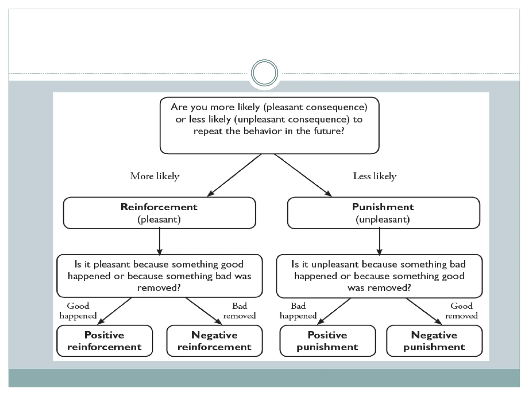 AP Chapter 6 Learning.ppt:Classical Conditioning, Operant Condition ...