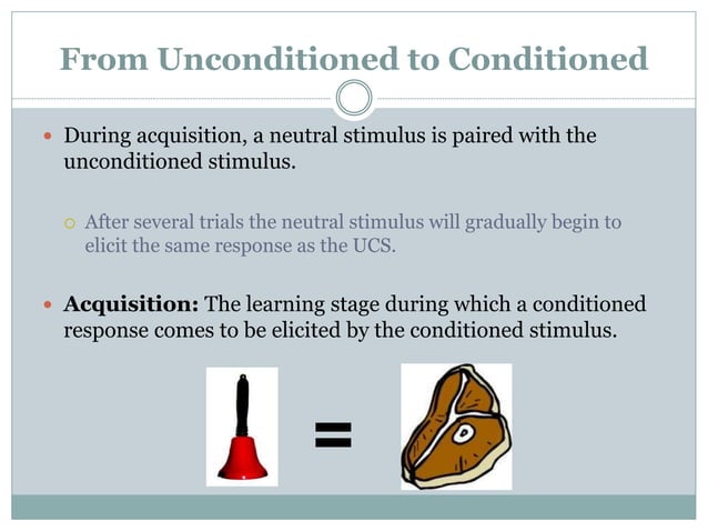 AP Chapter 6 Learning.ppt:Classical Conditioning, Operant Condition, Social Cognitive Learning ...