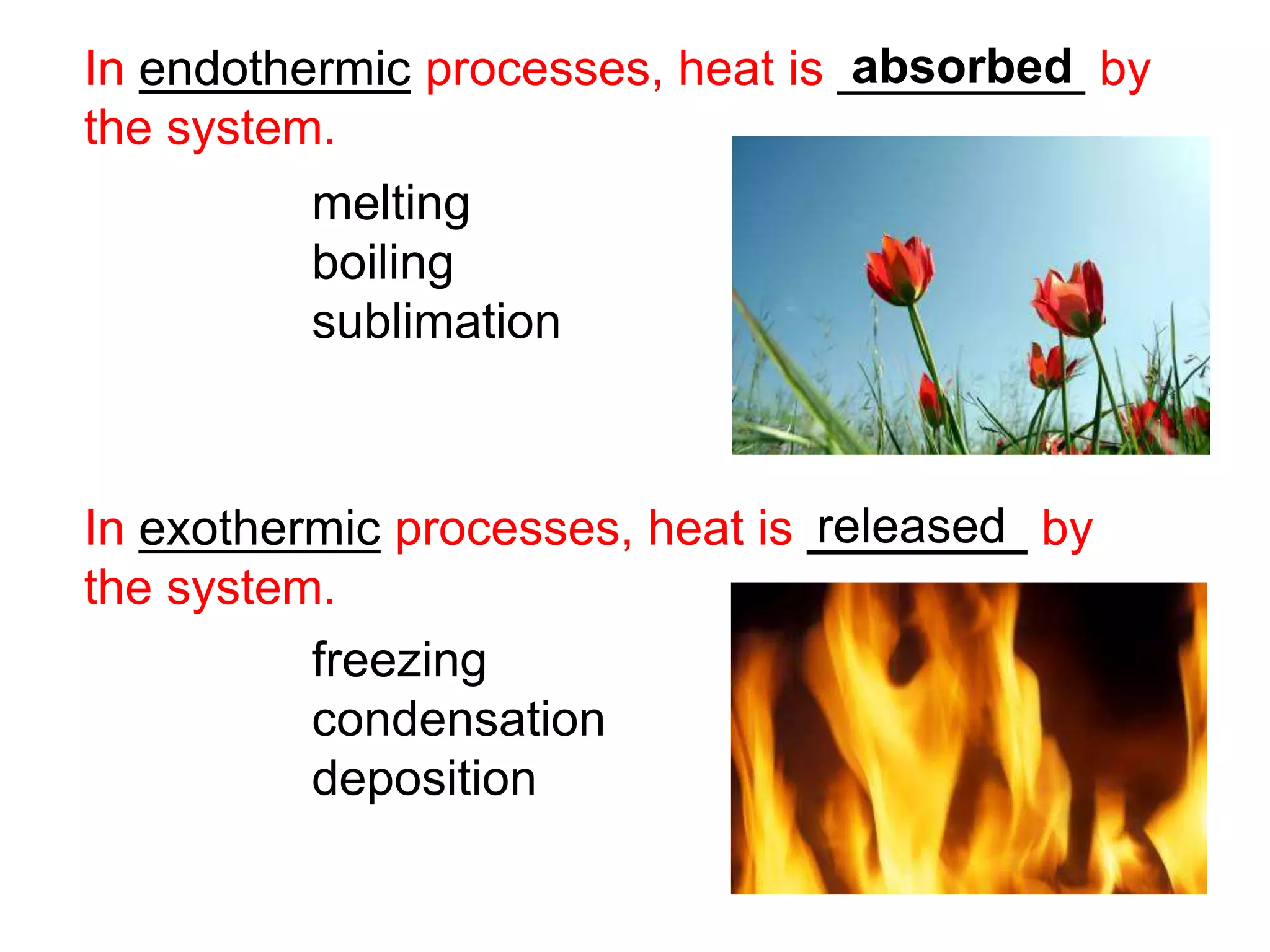 AP_Chem_Thermodynamics.pptx