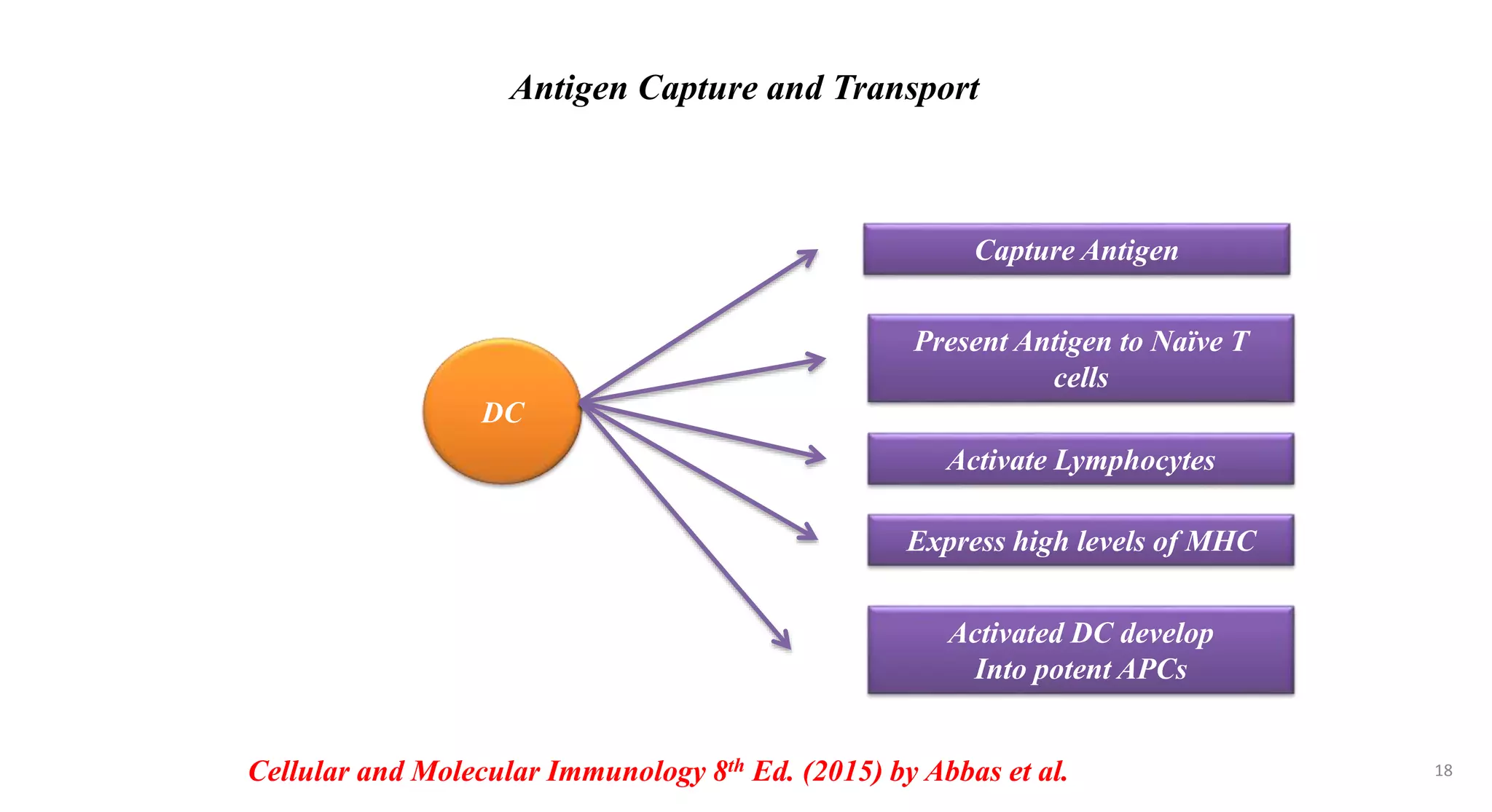 ANTIGEN PRESENTING CELL | PPTX