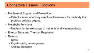 Connective Tissue PPT | PPTX
