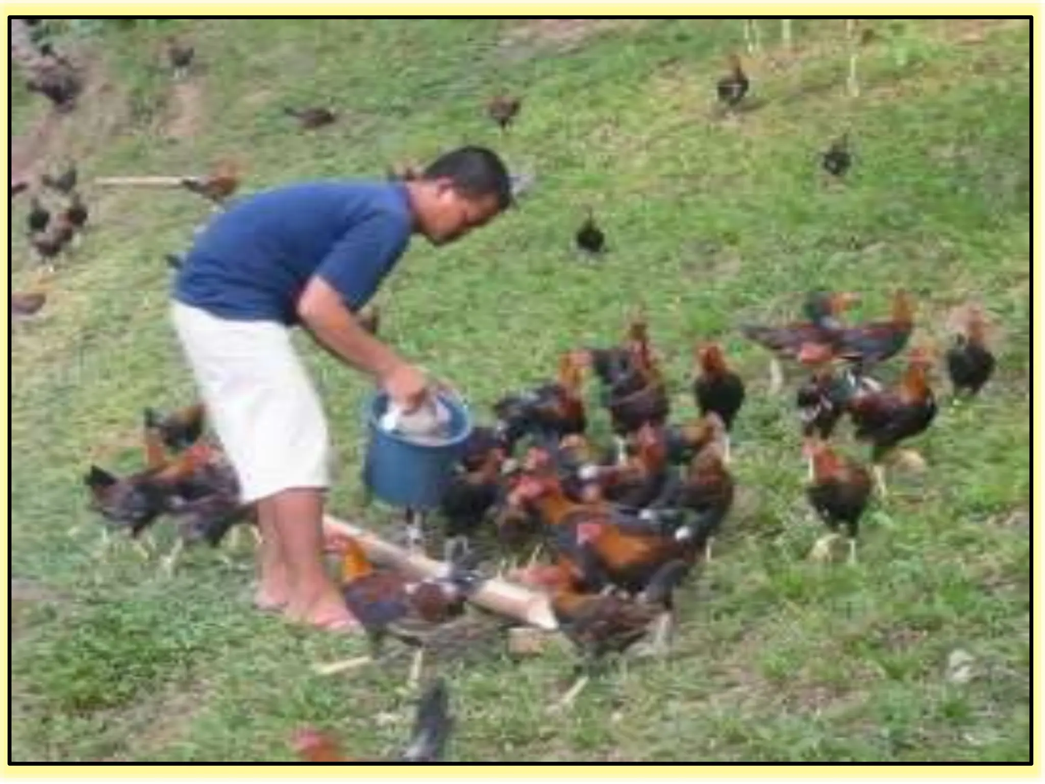 Araling Panlipunan Baitang Apat COT IMS | PPT