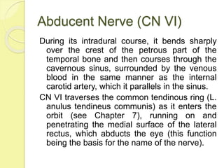 cranial nerve for BPT students | PPTX